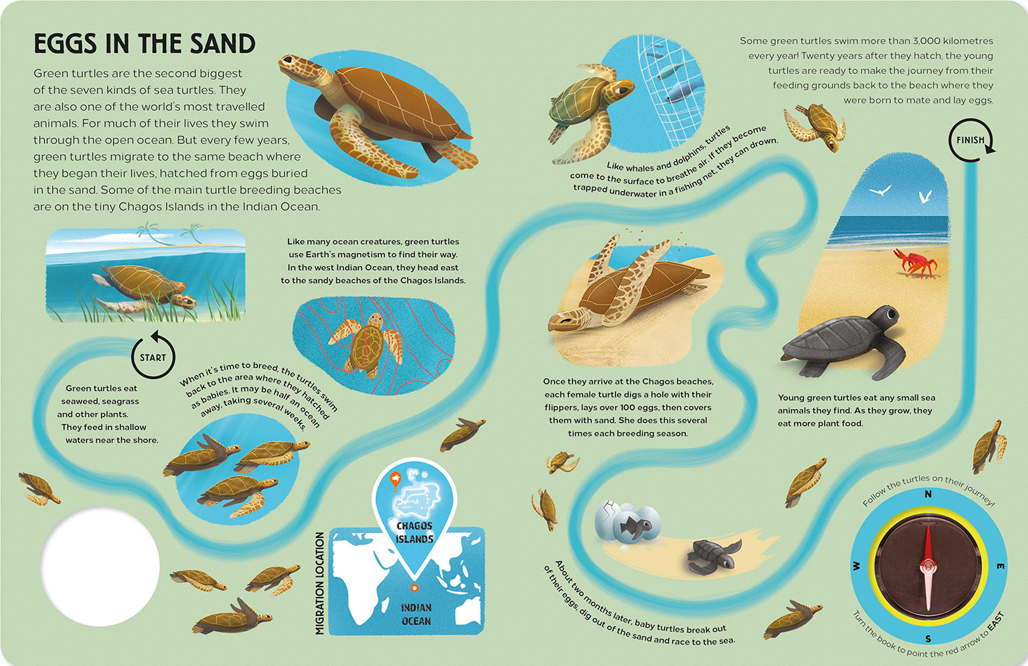Epic Animal Journeys in the Sea | Gemini Books