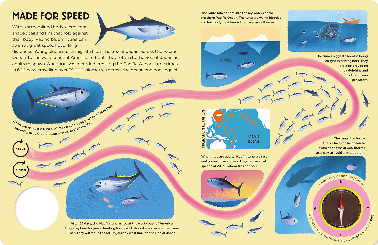 Epic Animal Journeys in the Sea | Gemini Books